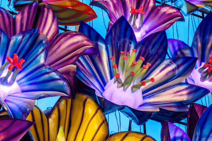 Museum Spotlight: RCAG