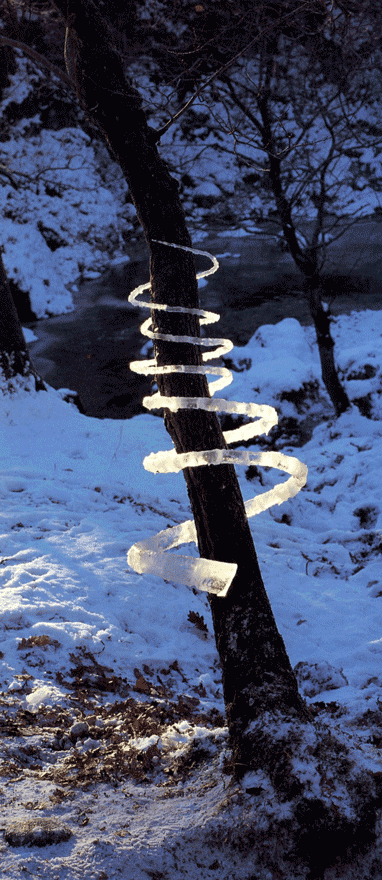 Artist Profile: Andy Goldsworthy