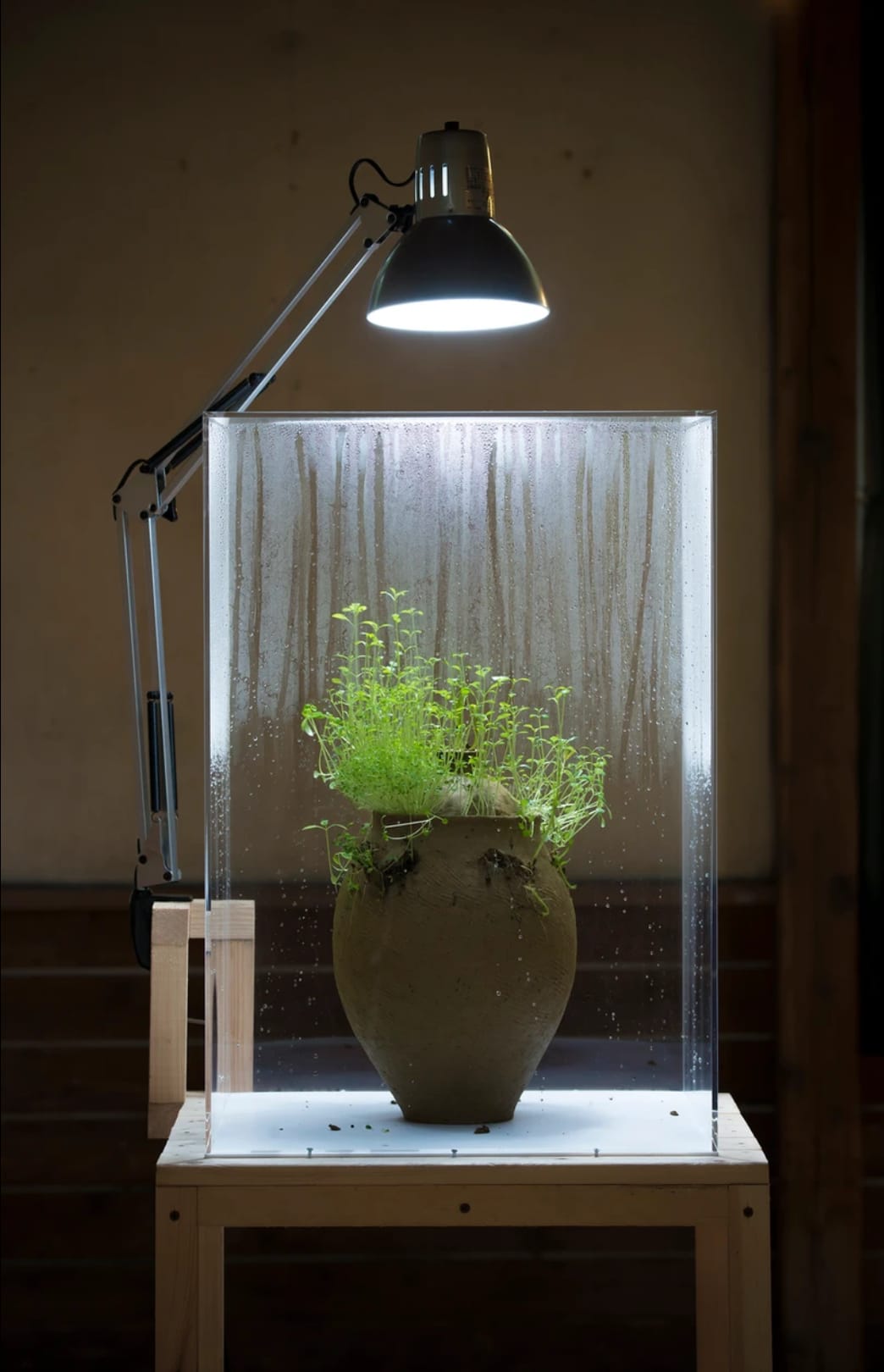 ‘Transitory Nature of Earthly Joy’ by Albert Yonathan Setyawan ...