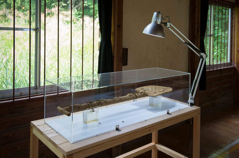 ‘Transitory Nature of Earthly Joy’ by Albert Yonathan Setyawan ...