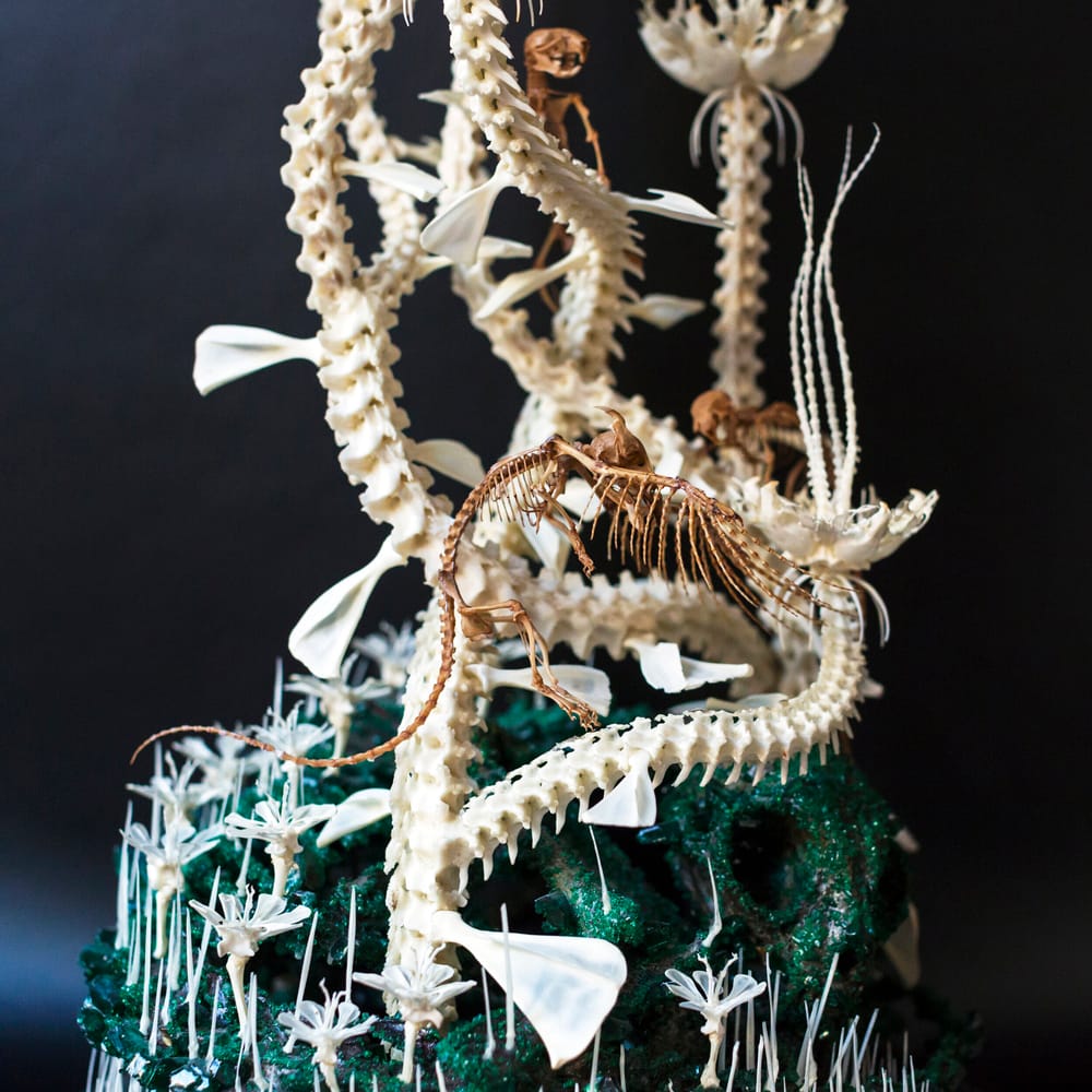 ‘Metamorphosis’ by Gerard Geer: Bone Art to Showcase Nature’s ...