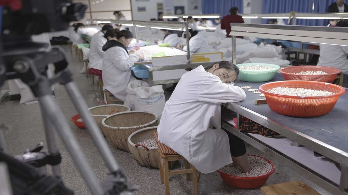 Mika Rottenberg’s ‘NoNoseKnows’: Highlighting the Exploitation of Women ...