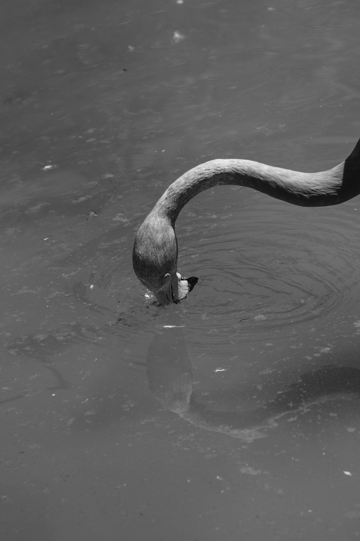 ‘After the Flood’ by Tine Guns: Contemplating the Aftermath of ...