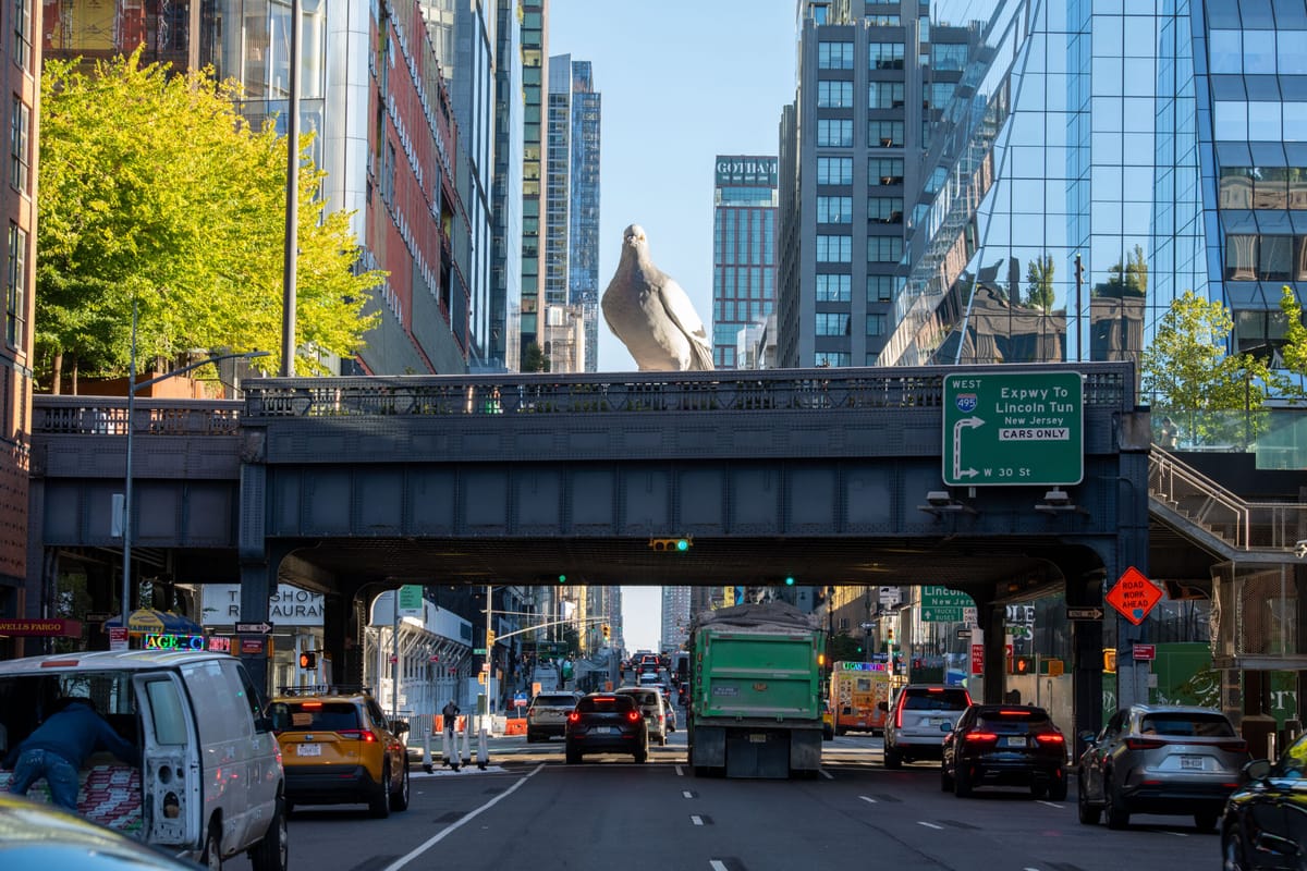 ‘Dinosaur’ by Iván Argote: Celebrating the Curious Lives of City Pigeons