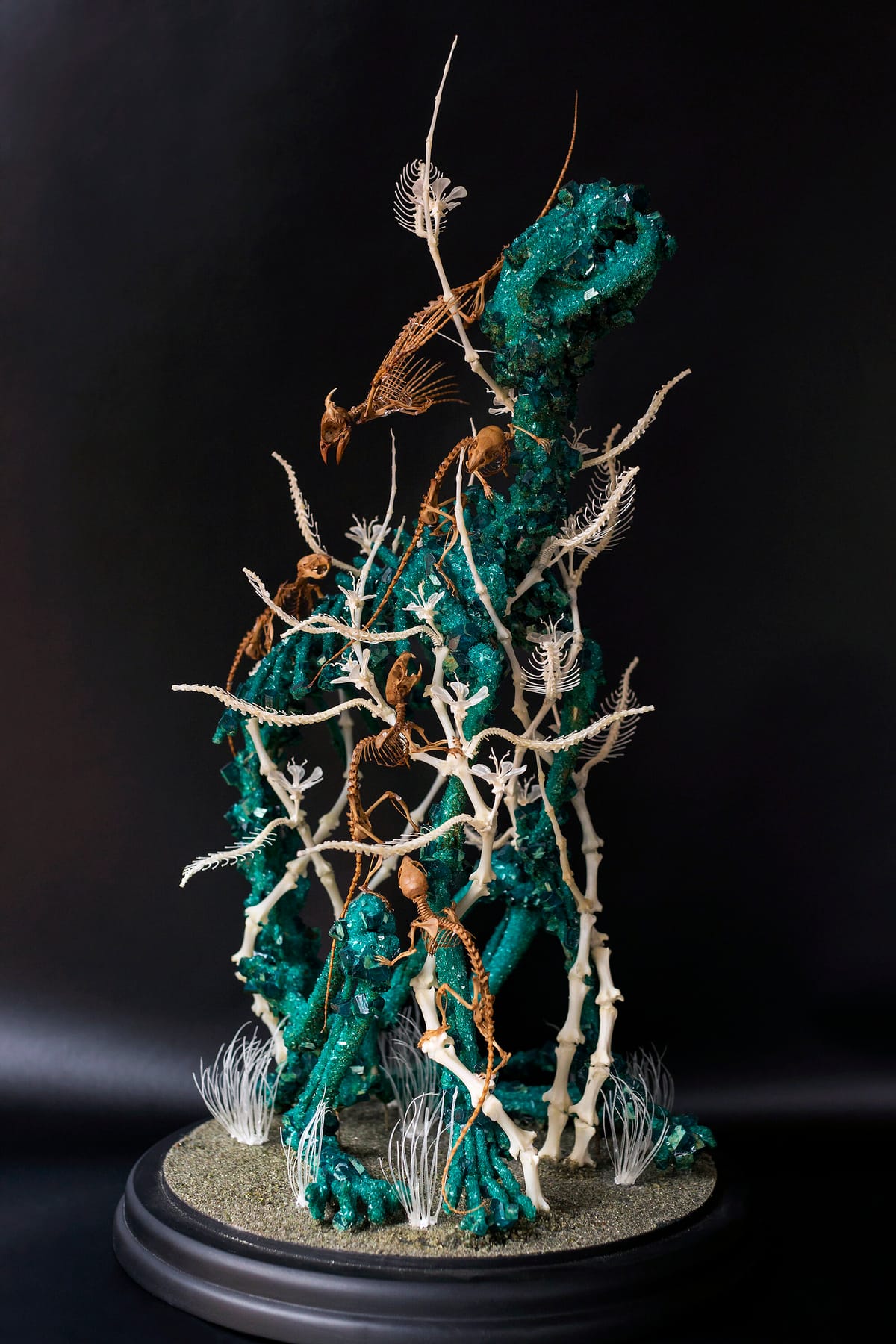 ‘Metamorphosis’ by Gerard Geer: Bone Art to Showcase Nature’s ...