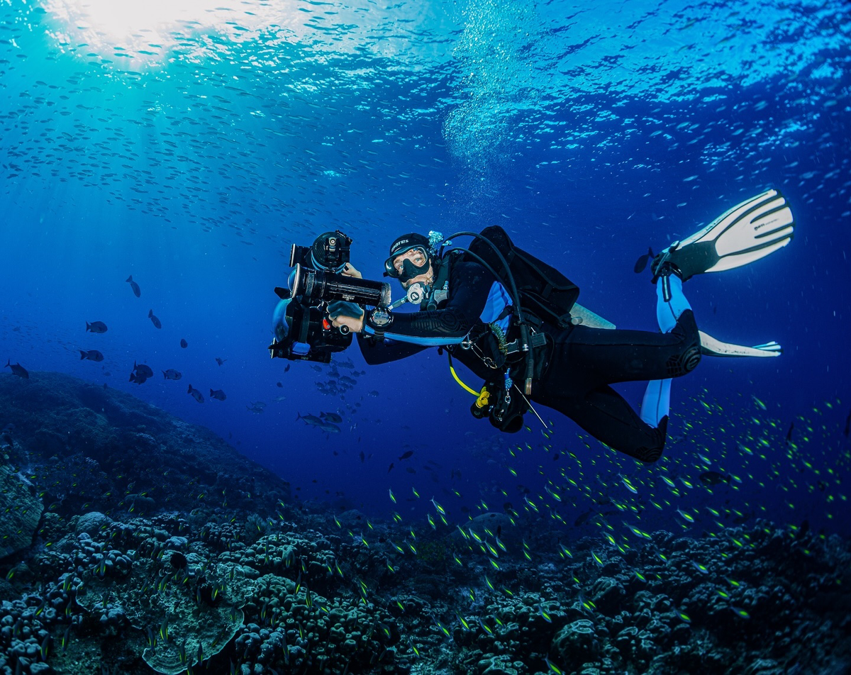 John Roney: Marine Life Videos to Advocate for Conservation