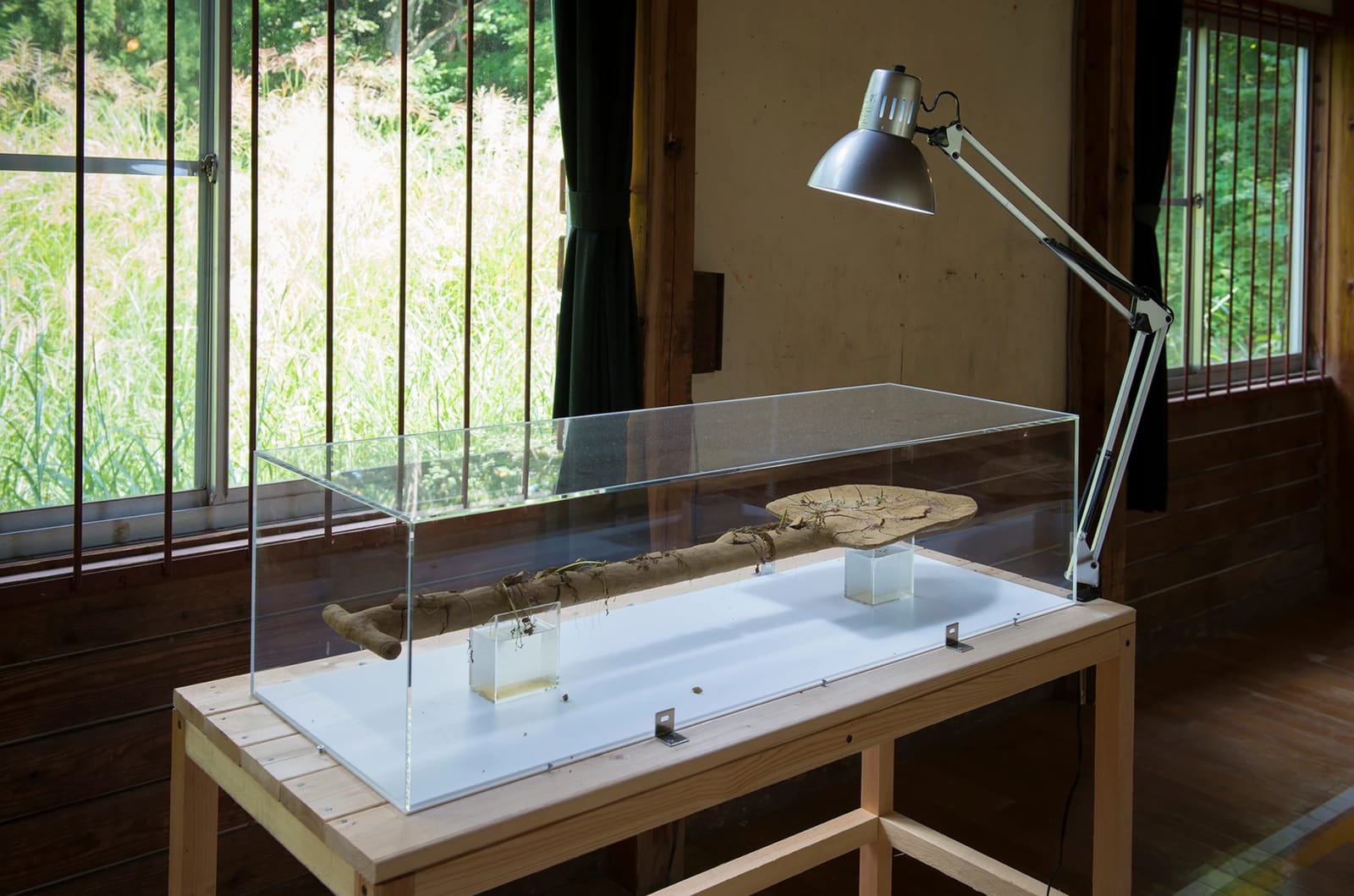 ‘Transitory Nature of Earthly Joy’ by Albert Yonathan Setyawan ...