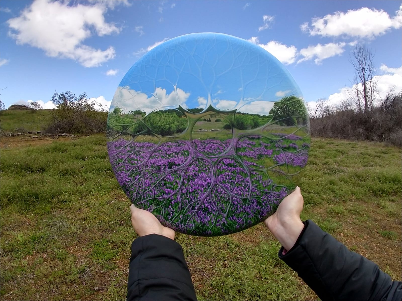 Distorted Landscape Paintings by Micah Ofstedahl: Visualizing Humanity ...