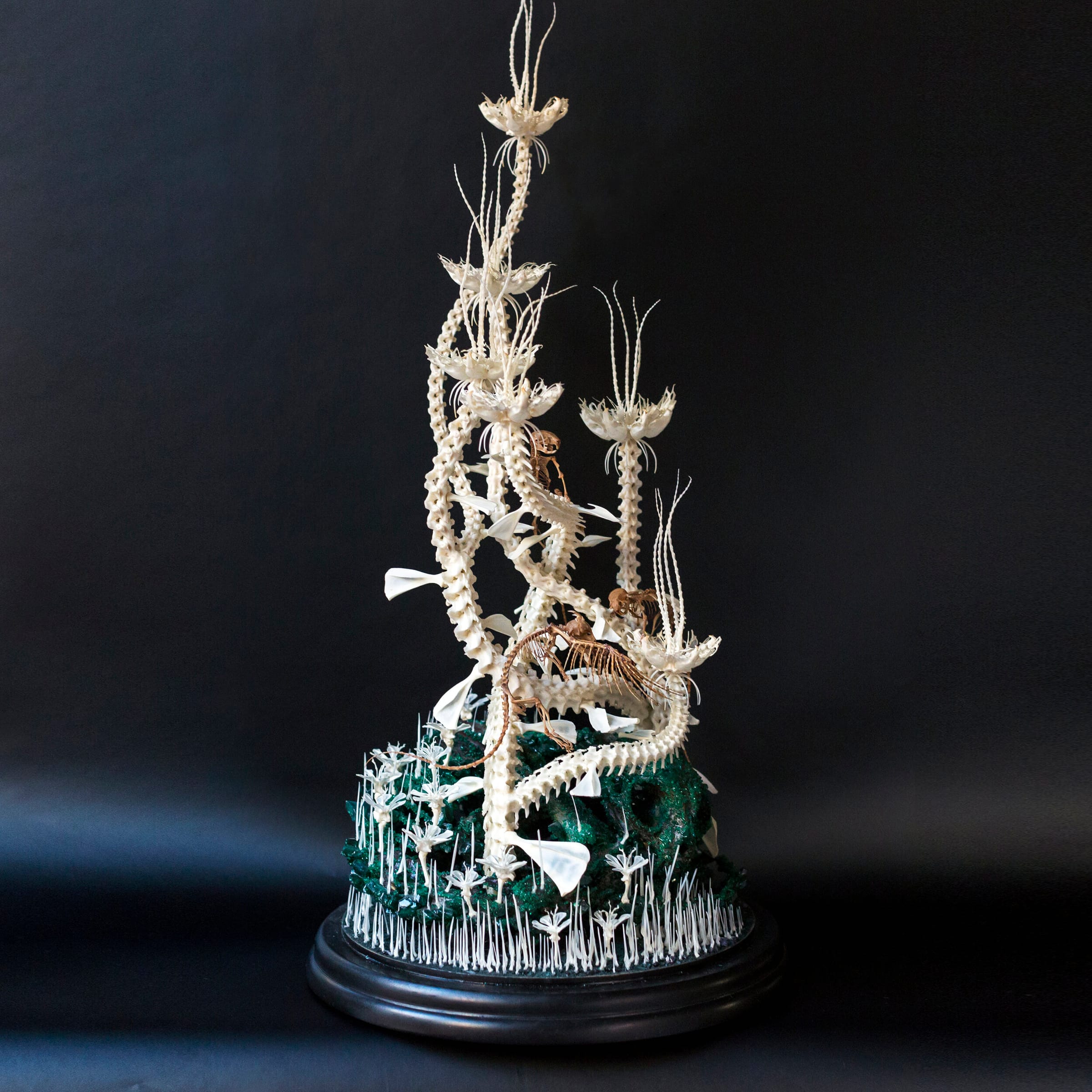 ‘Metamorphosis’ by Gerard Geer: Bone Art to Showcase Nature’s ...